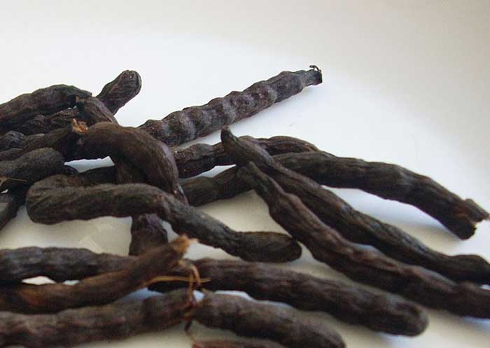 Uda Seeds (Negro Pepper) For Natural Family Planning