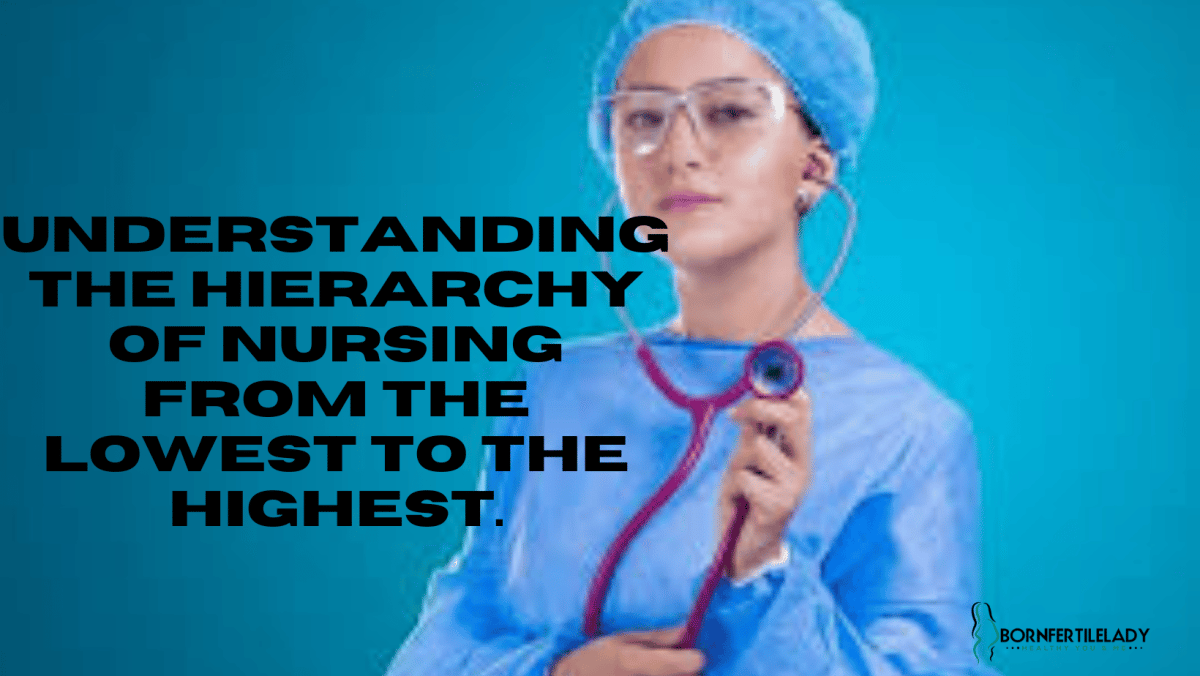 Understanding The Hierarchy Of Nursing From The Lowest To The Highest.