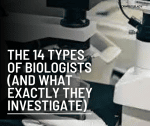 The 14 Types Of Biologists (And What Exactly They Investigate).