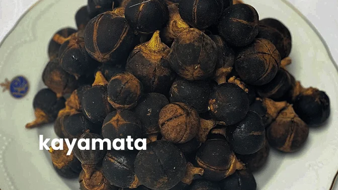 "Kayamata: Exploring The World Of Traditional Aphrodisiacs In Nigeria"